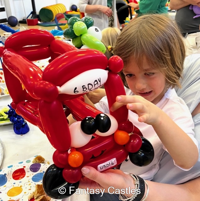 Balloon Modelling for a 6th Birthday in Bridgnorth