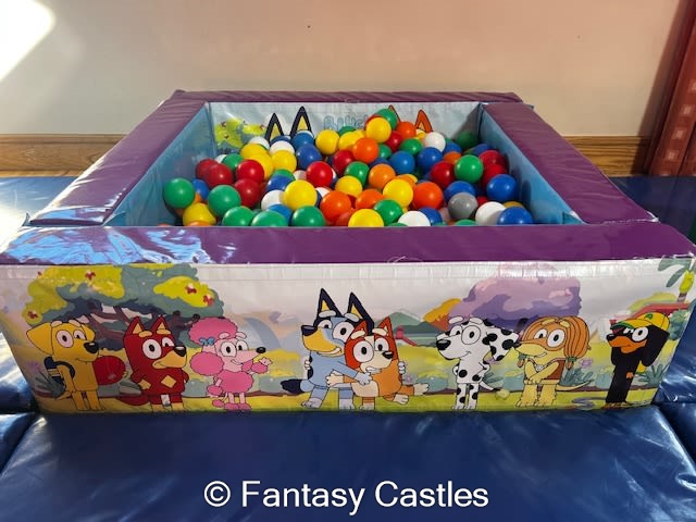 Bluey Ball Pool for Hire in Telford & Shrewsbury