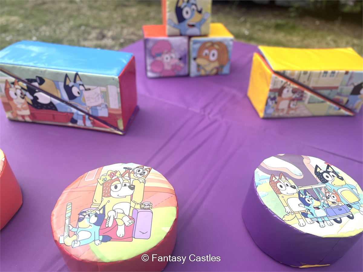 Bluey Bouncy Castle and Soft Play Hire | Telford & Shrewsbury